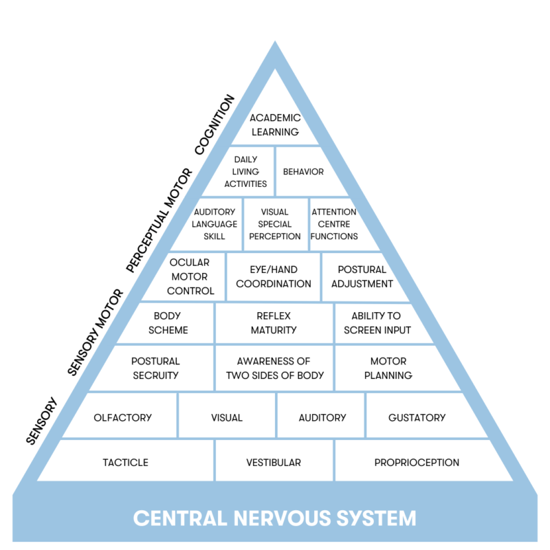 What is Sensory Processing? | MeBe